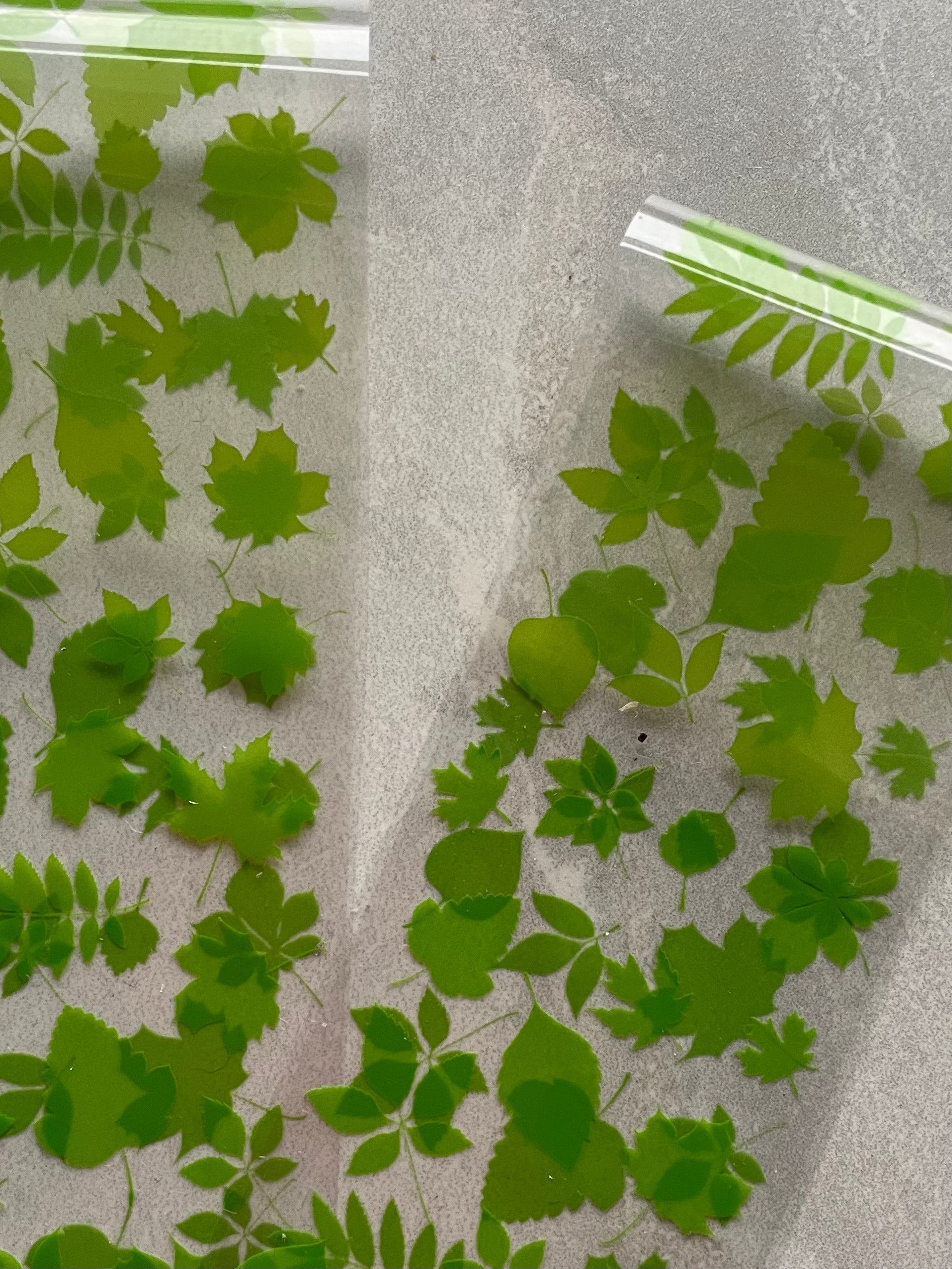 Foliage Green Foil – NAILS-LUXE